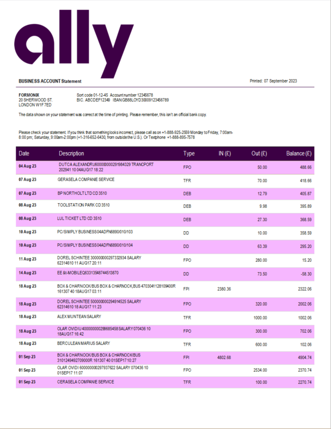 United States Business Bank Statement - bstatement.net